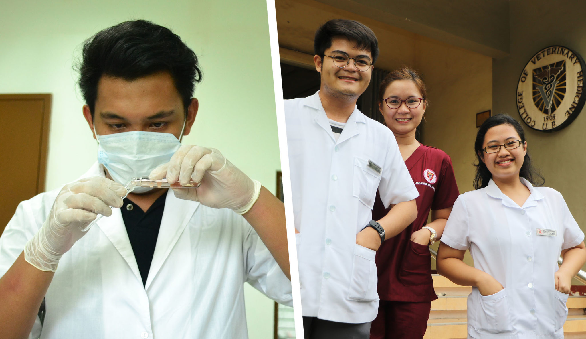 BS ChE, DVM are now AUN-QA-certified BS ChE, DVM are now AUN-QA-certified